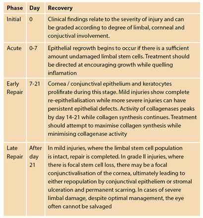 Periocular burns: a literature review of classification, management ...