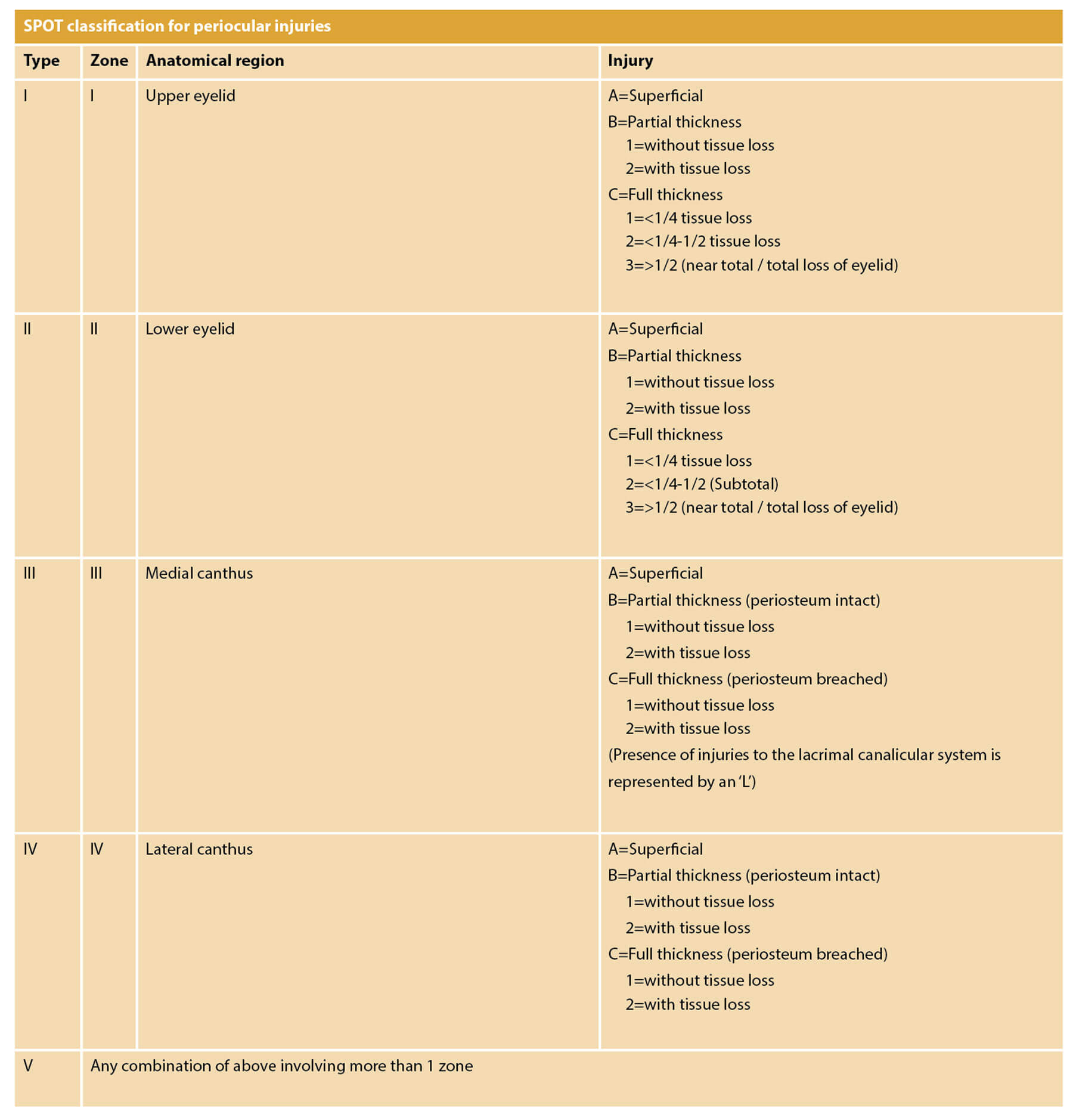 Periocular burns: a literature review of classification, management ...