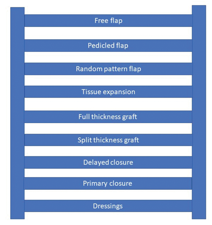 Reconstruction of complex wounds in the trunk and pelvis (part 1) | The ...